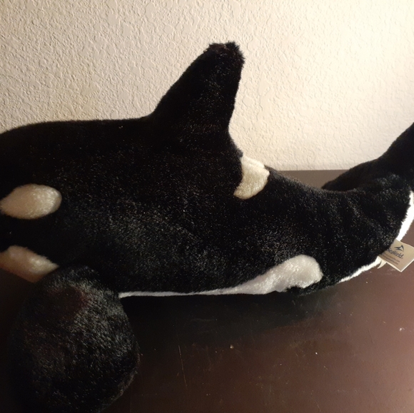 Seaworld | Toys | Seaworld Souvenir Shamu 6 Dolphin Plush Toy | Poshmark